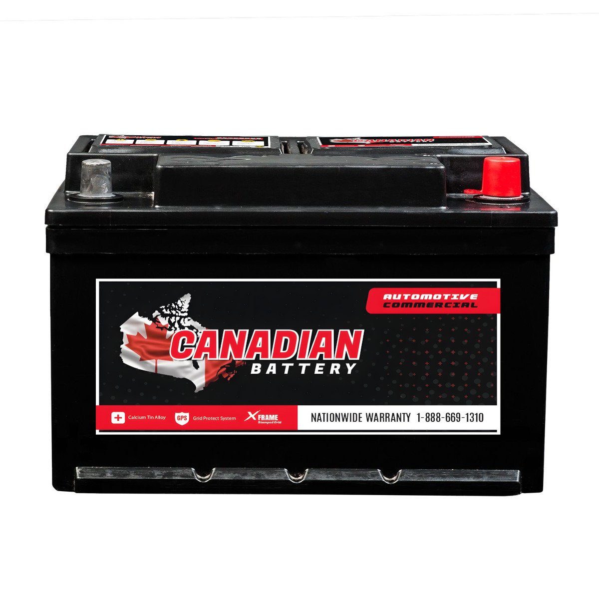 Canadian Battery 41-800 Group 41 Auto/Truck Battery – 650 CCA, 800 CA ...